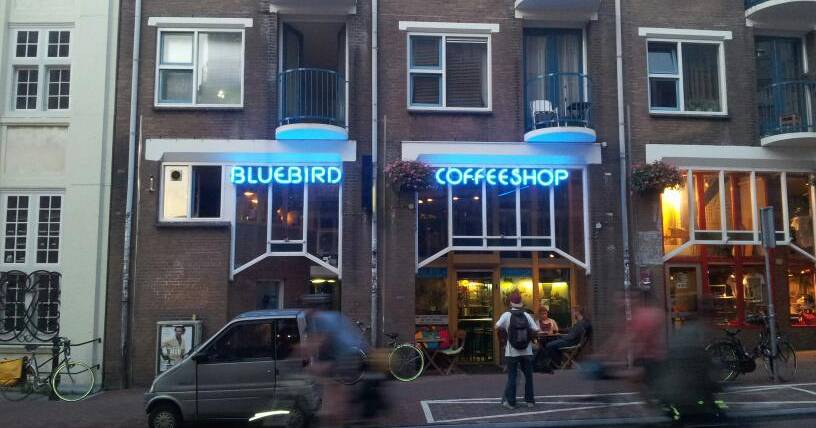 Coffeeshop Bluebird in Amsterdam, The Netherlands | DutchCoffeeshops.com