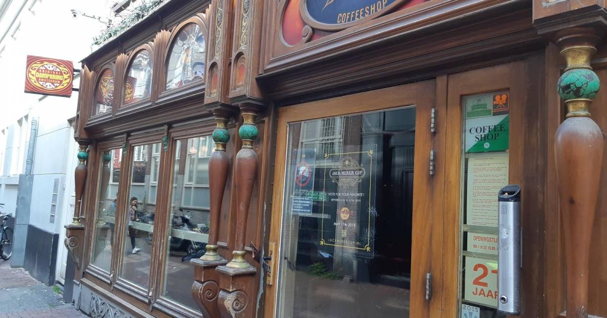 Coffeeshop dampking in Amsterdam, Die Niederlande | DutchCoffeeshops.com